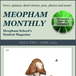 Meopham School - Home